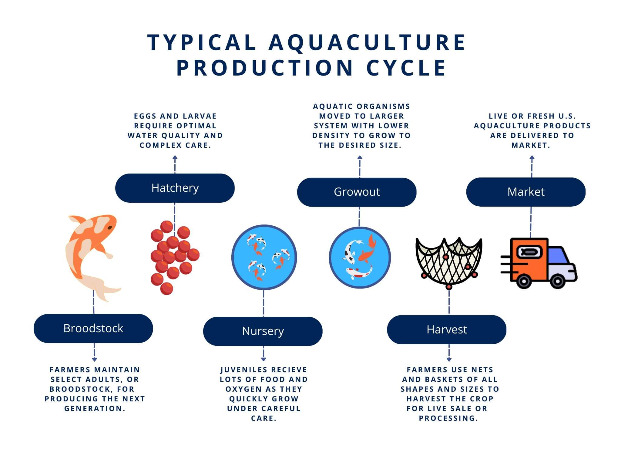 About Aquaculture - National Aquaculture Association